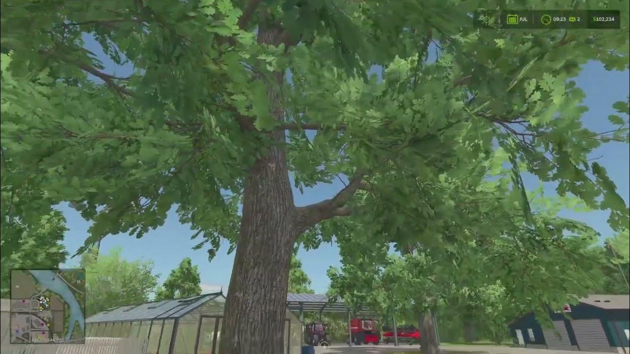 Farming Simulator 25 How to choose different stages of tree growth ...