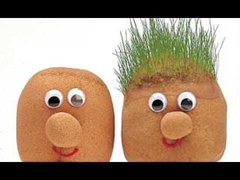 COMO HACER A UN MUÑECO CABEZA DE PASTO-"COMO HACER UN PEPE" - YouTube
