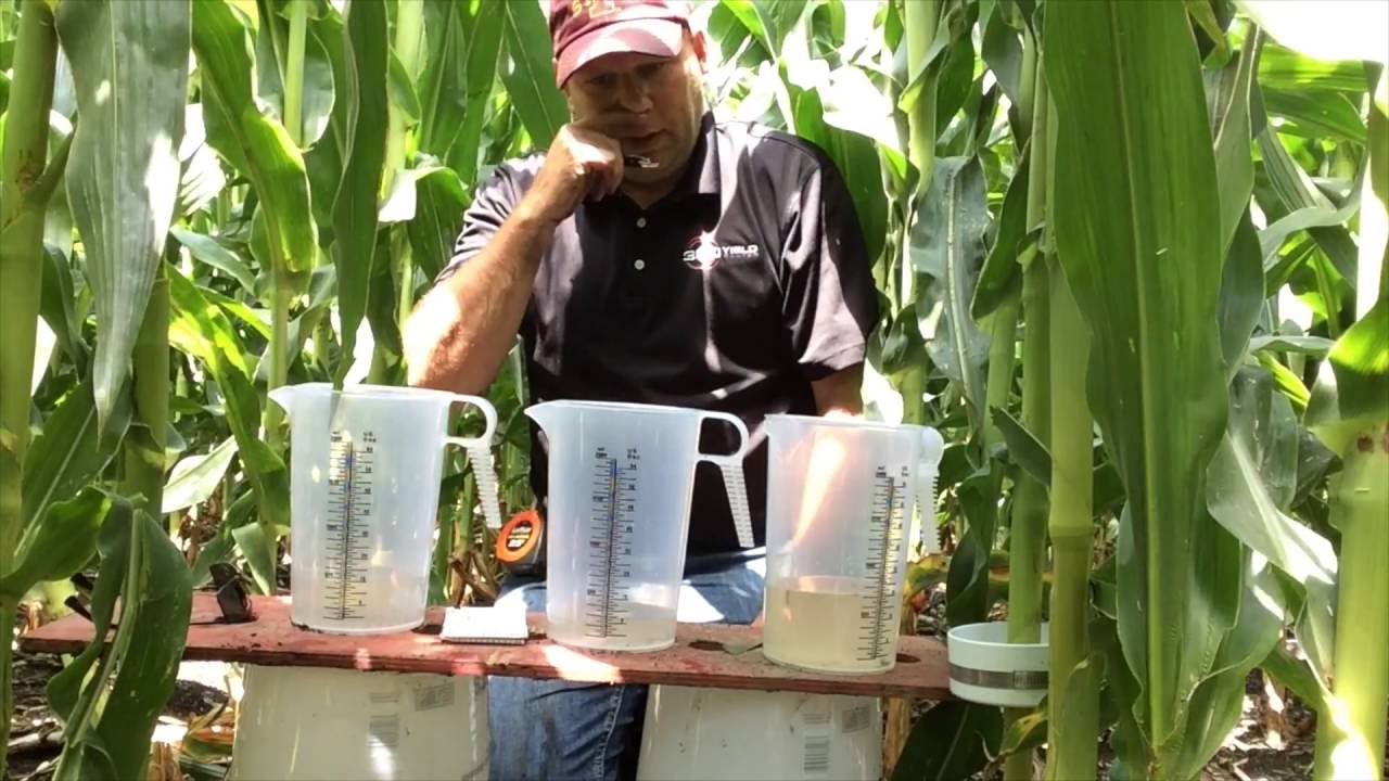 360 Yield Minute - Stem Water After Rain - Jamie Brand - YouTube