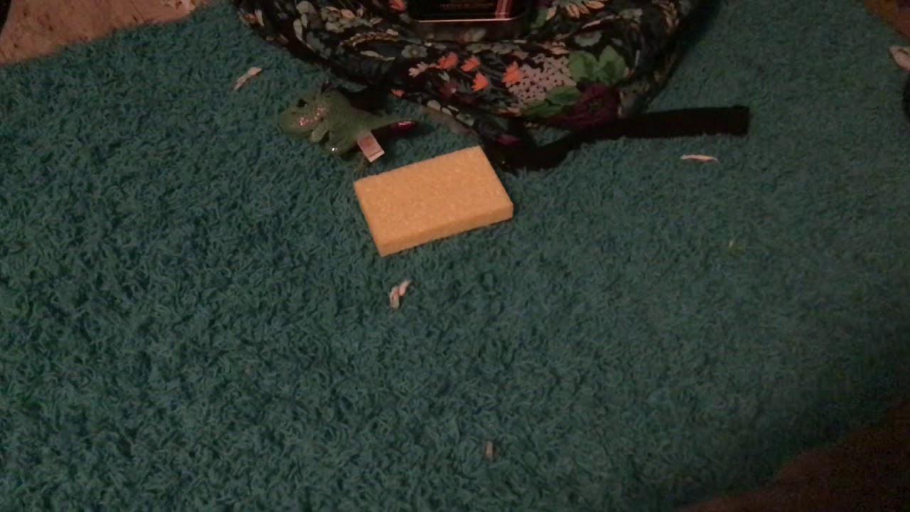 sponge laying on the floor for 30 minutes - YouTube