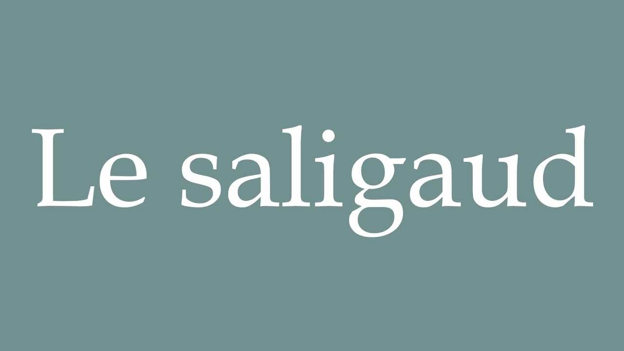 How to Pronounce ''Le saligaud'' (The rascal) Correctly in French - YouTube