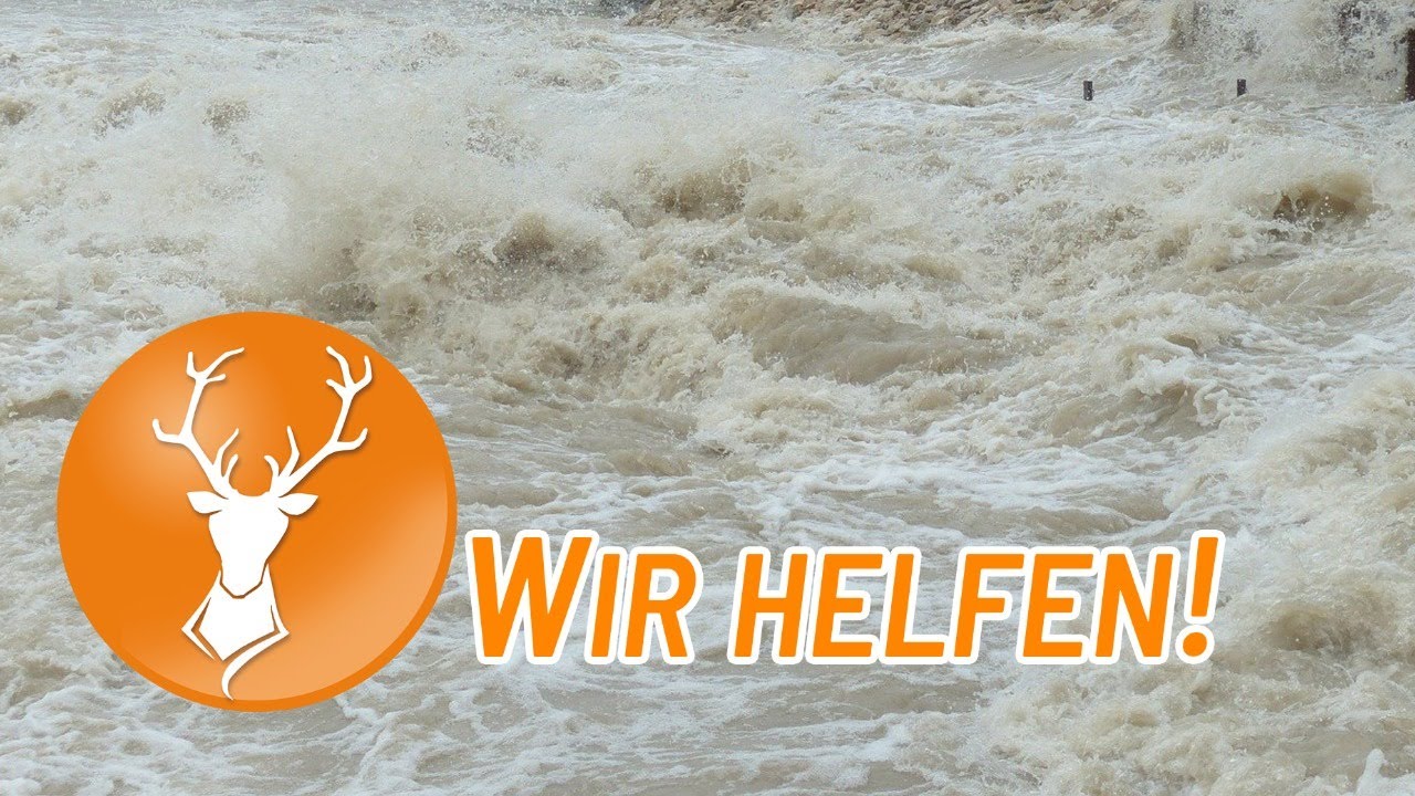 🔴 LIVE für die Opfer der Hochwasserkatastrophe / Kohle scheffeln - YouTube