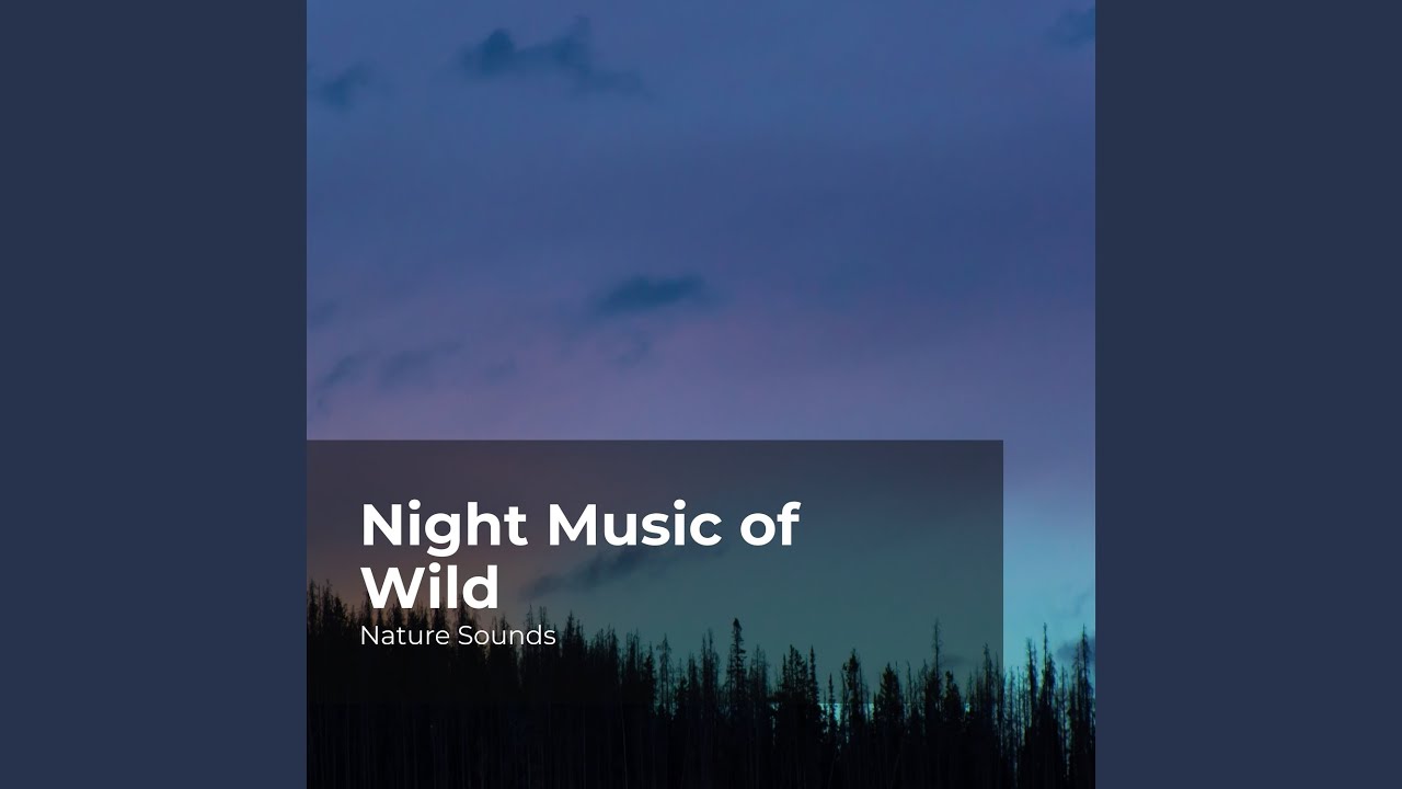 Wild Animals Chorus - YouTube