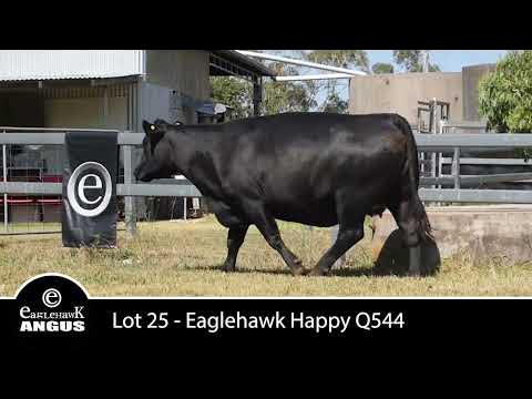 LOT 25 - Eaglehawk Happy Q544 - YouTube
