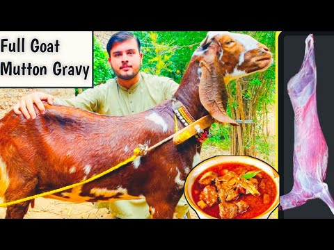 Cooking 20kg Full Goat Curry Village Style/Recipe By Hamza Food Secrets ...
