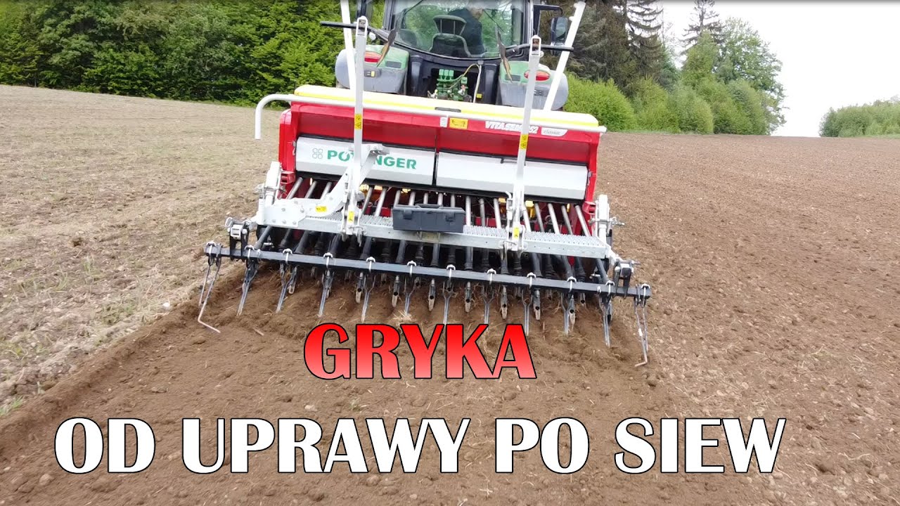 Gryka ekologiczna 2020 od uprawy po siew | Intro z drona | Uprawa ...