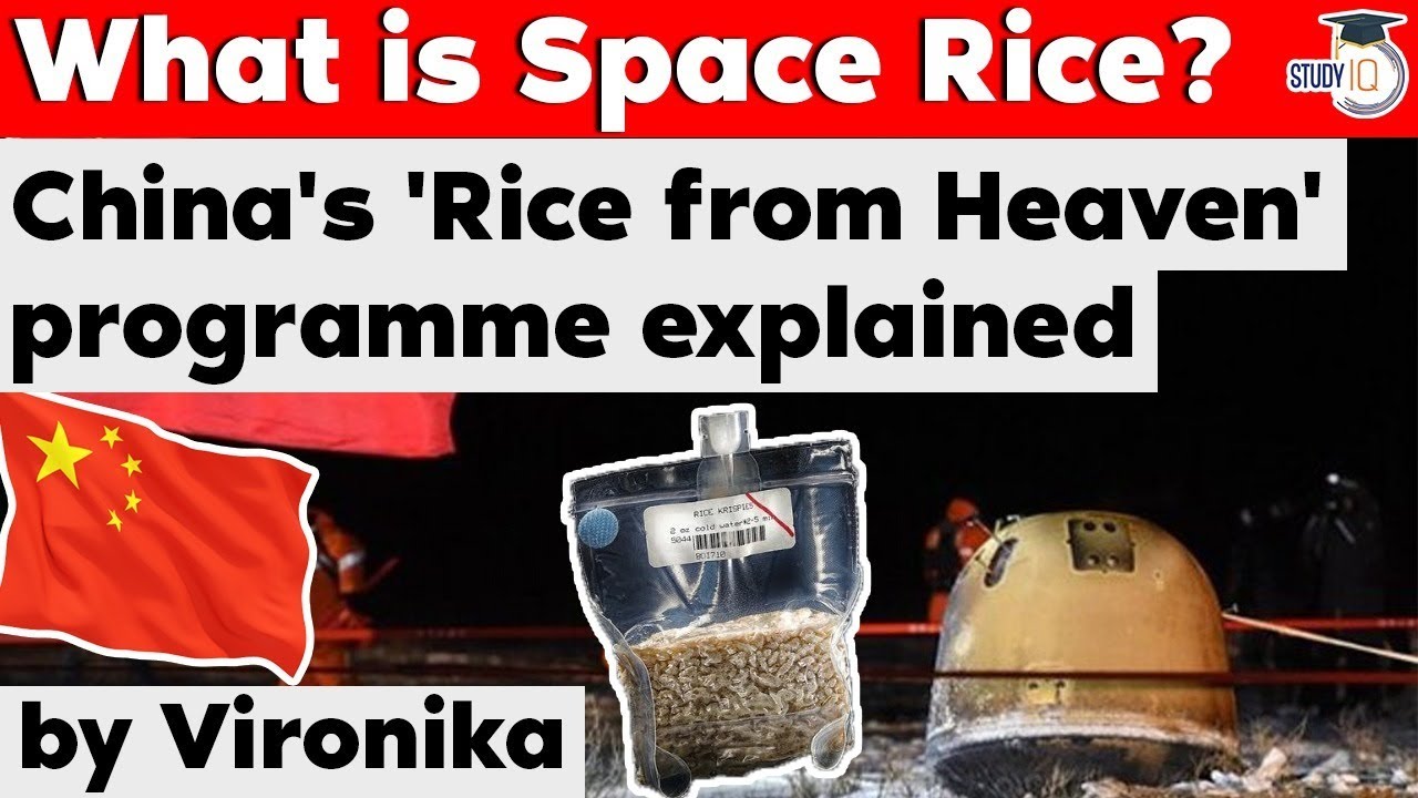 What is Space Rice? Why China is sending various food grains to space ...