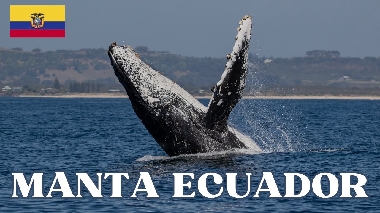 MANTA MANABI ECUADOR - YouTube