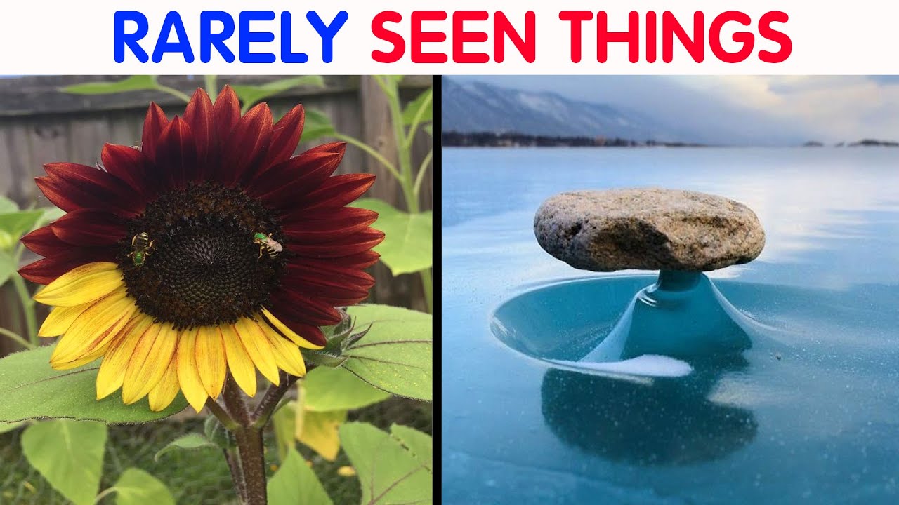 Fascinating Pics Of Rarely Seen Things - YouTube