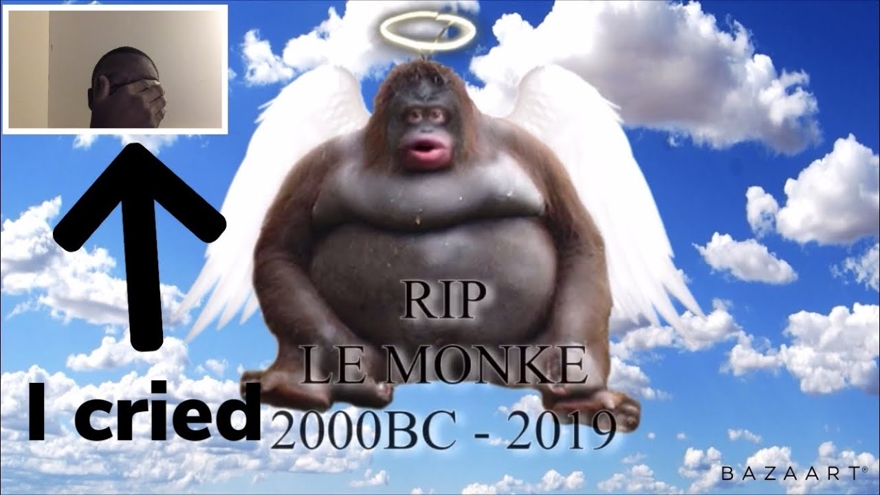 Le monkey dies full reaction - YouTube