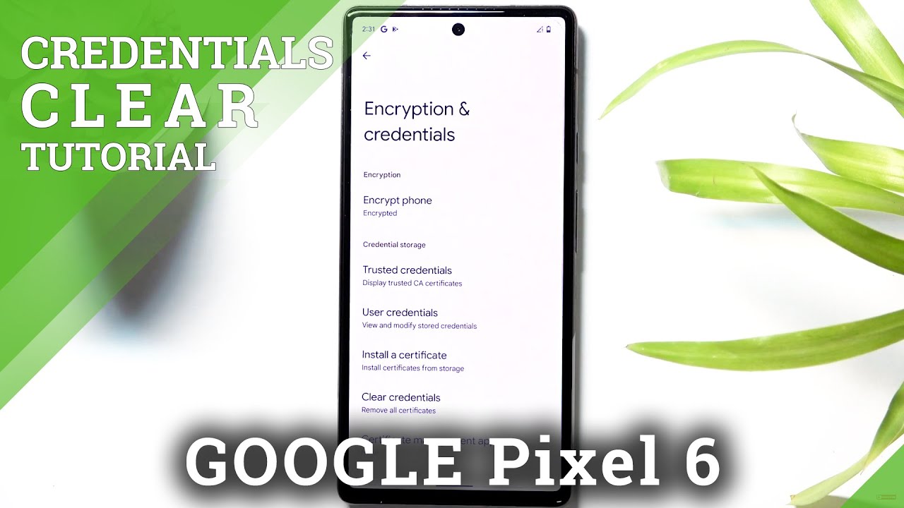 How to Clear Credentials on GOOGLE Pixel 6 – Remove Certificates - YouTube