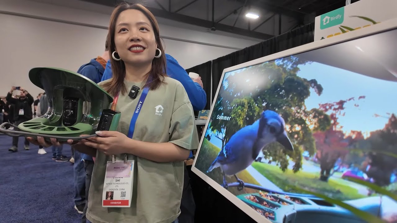 Birdfy: AI-Powered Smart Bird Feeder with Dual Cameras, 1080p Video ...