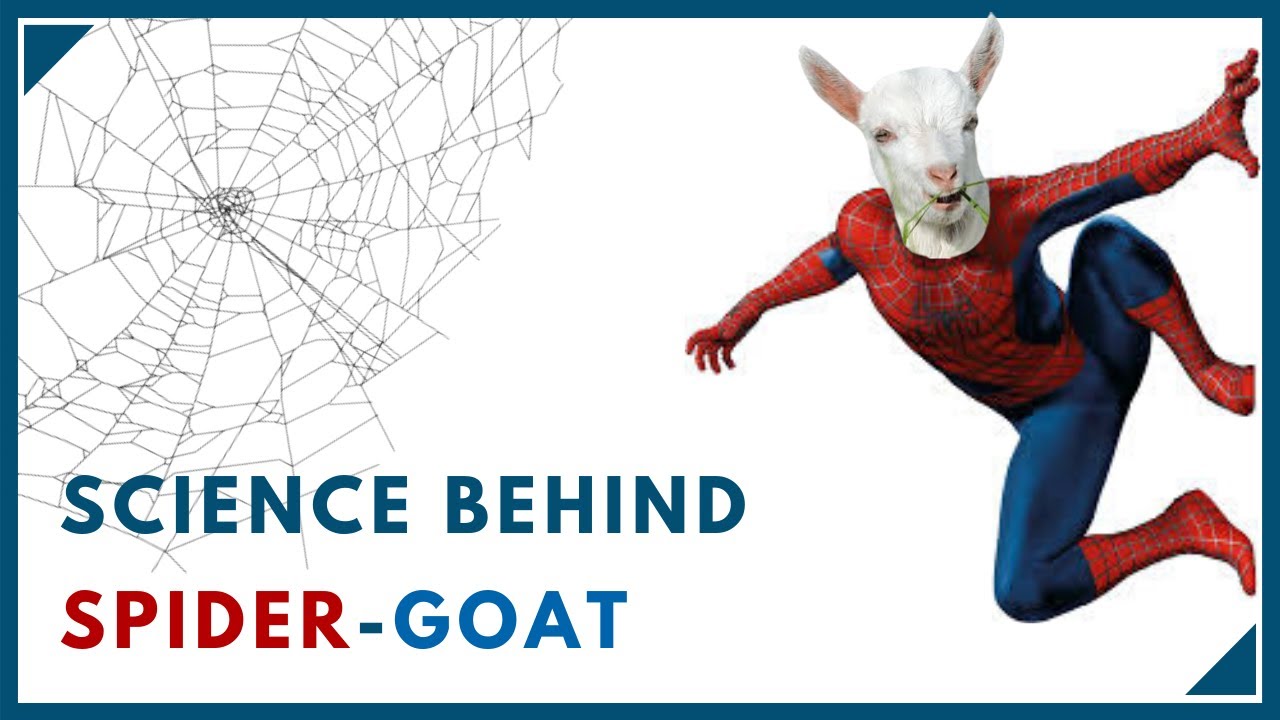 Spider Goat: A genetic miracle! | Science explained in Hindi - YouTube