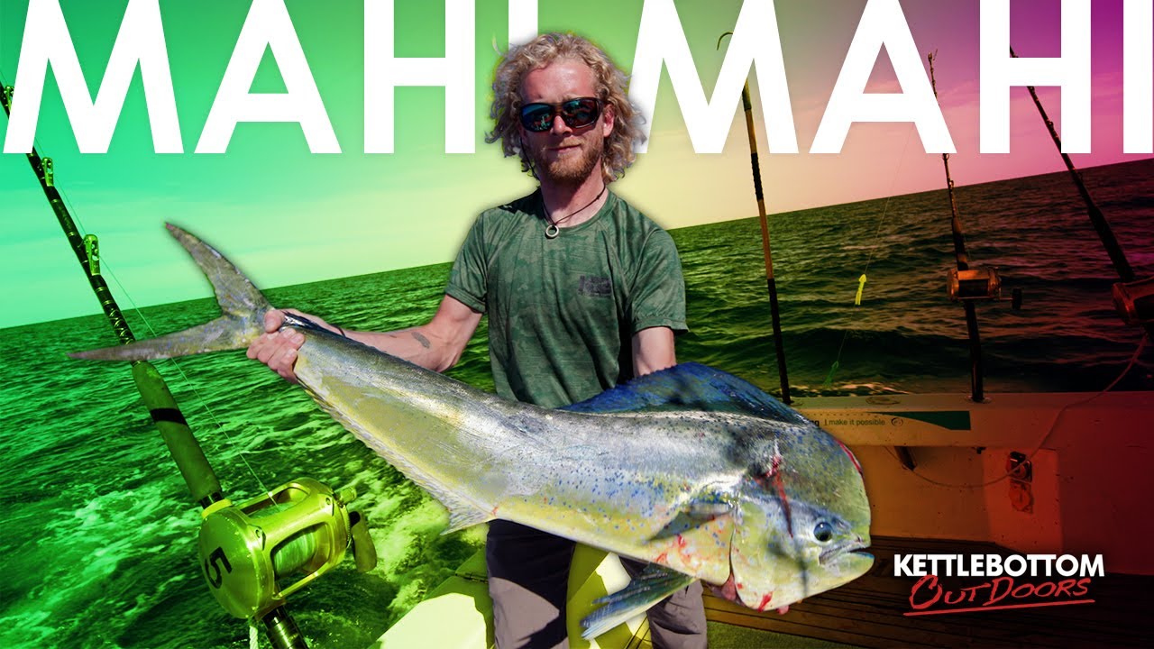 Bull Mahi-Mahi | Northeast Canyons - YouTube