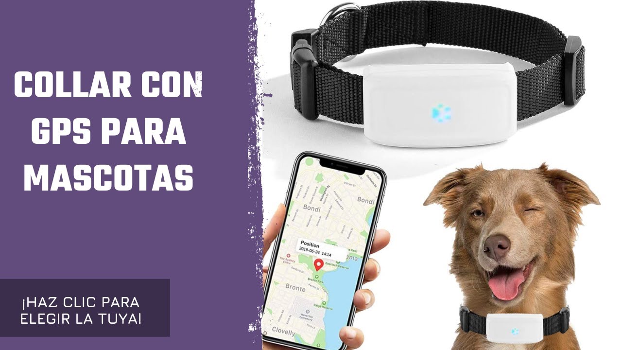 COLLAR con GPS para MASCOTAS 2023! - YouTube