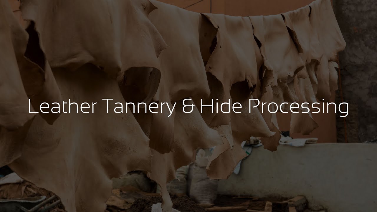Leather & Tanning Industry - YouTube