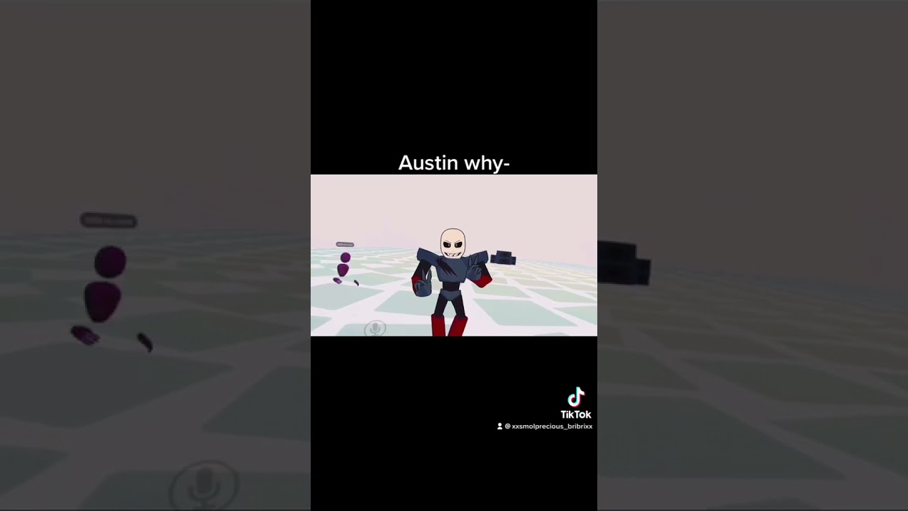 Austin stole the Camera(Wii Deleted You) -_- - YouTube