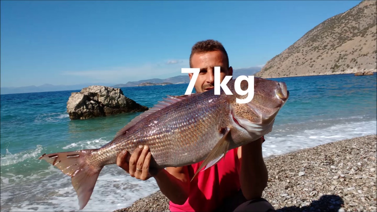 Extreme Shore Fishing Levadia Nikos heavy casting συναγριδες - YouTube