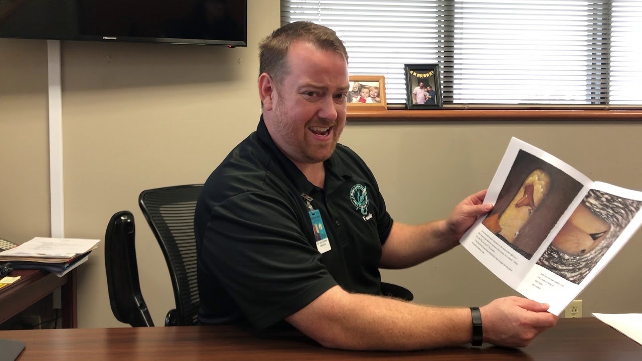 Principal Read Aloud with Dr. Downs - YouTube