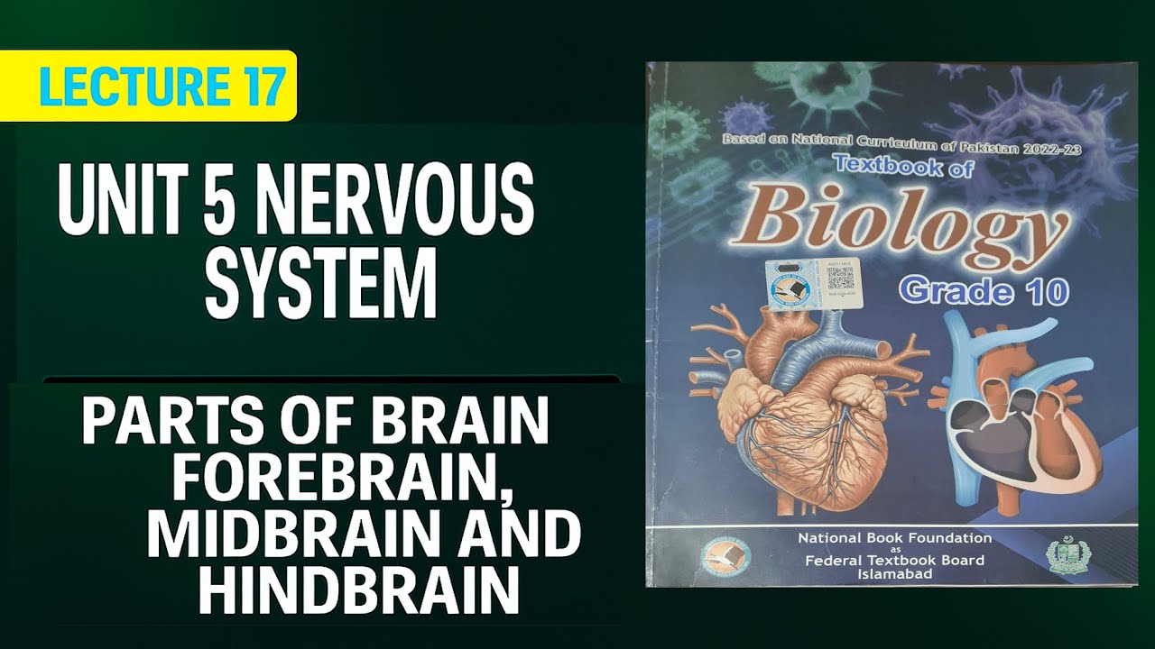 📘 Class 10 Biology | Unit 5 Nervous System | Parts of Brain: Forebrain, Midbrain & Hindbrain ...