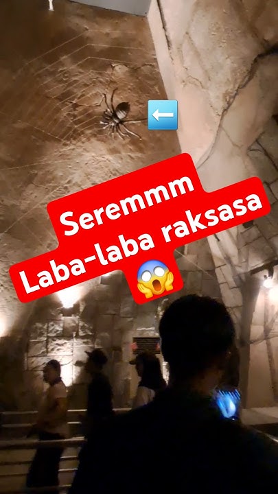 Laba-laba raksasa #serem #spider #vidioviral #shortsviral #samudraancol #fypviralシ #vypシ - YouTube