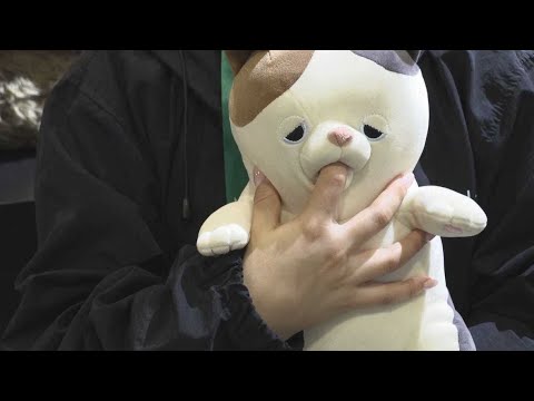 Amagami Ham-Ham, the cuddly animal-robot who will nibble on your ...