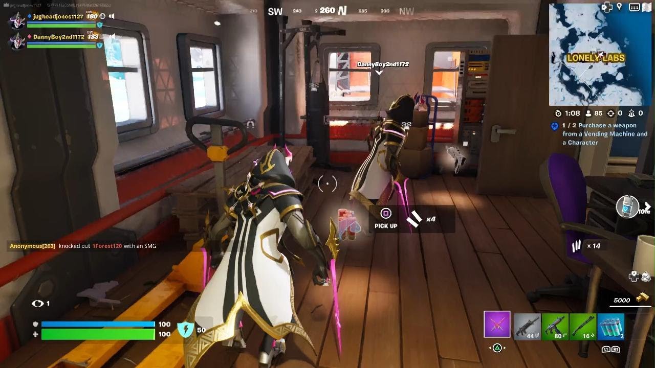 Fortnite Chapter 4 Stray Twins 7th - YouTube