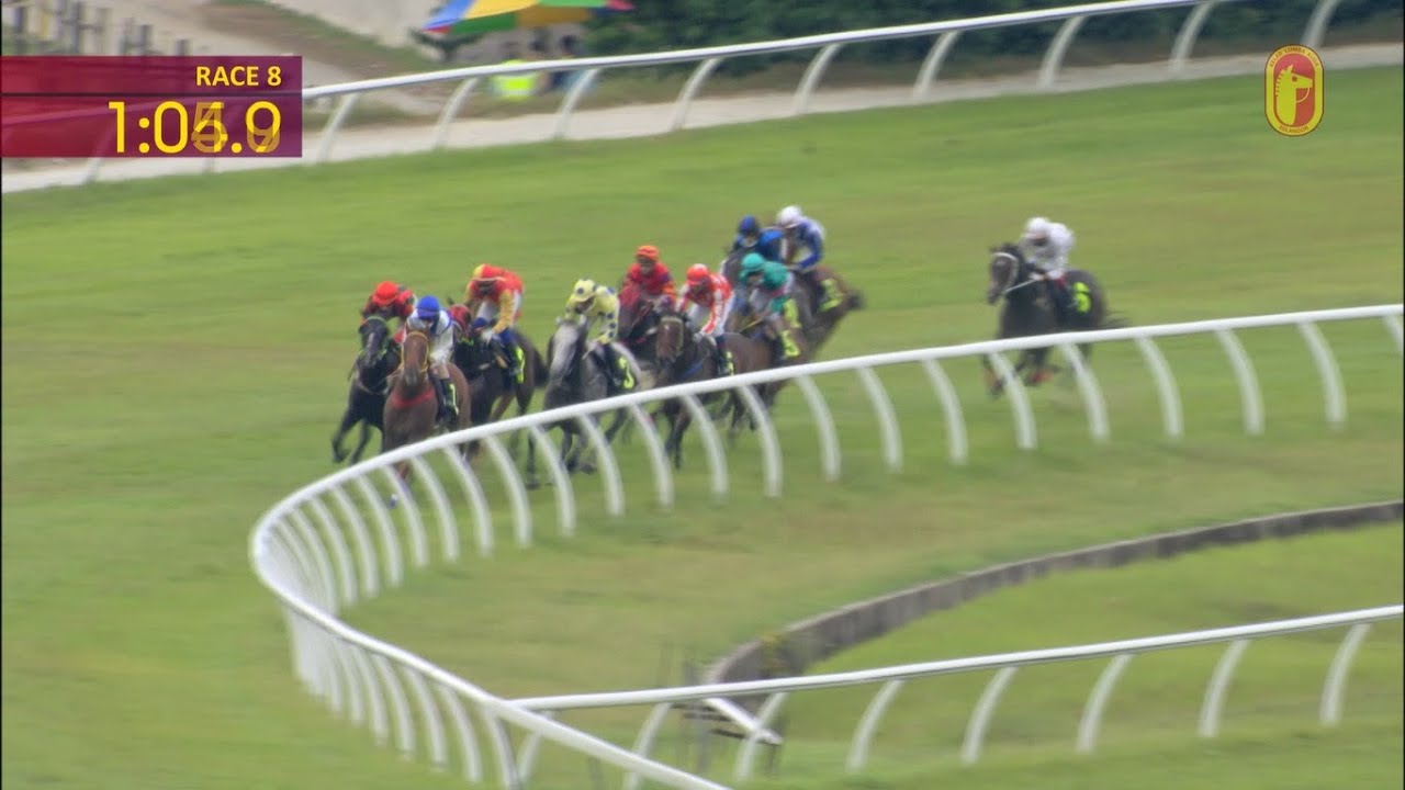 25 OCT 2020 RACE 8 - YouTube