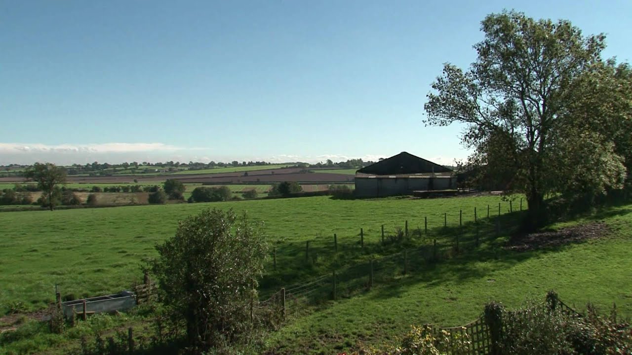 Tunstall Hall Farm - YouTube