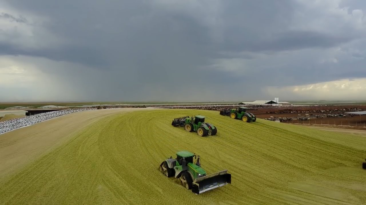 World's Most Silage - YouTube