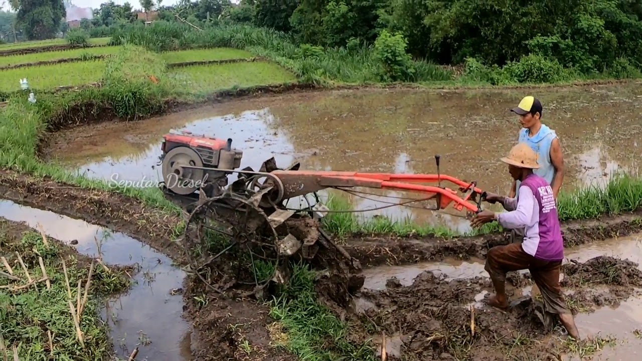 Traktor Yanmar bajak Sawah - YouTube