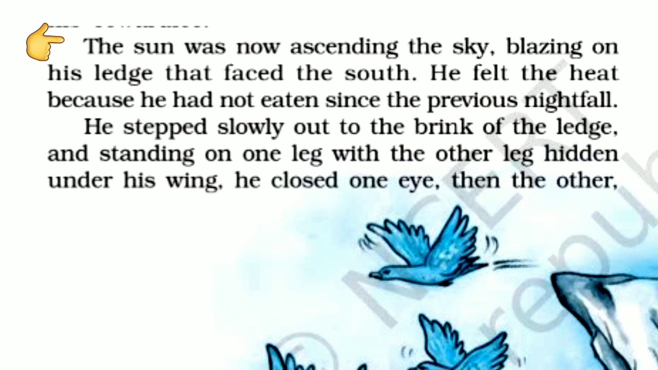 Chapter 3 Two Stories About Flying PART I FIRST FLIGHT CBSE X ENGLISH chapter-3-two-stories-about-flying-part-i-first-flight-cbse-x-english