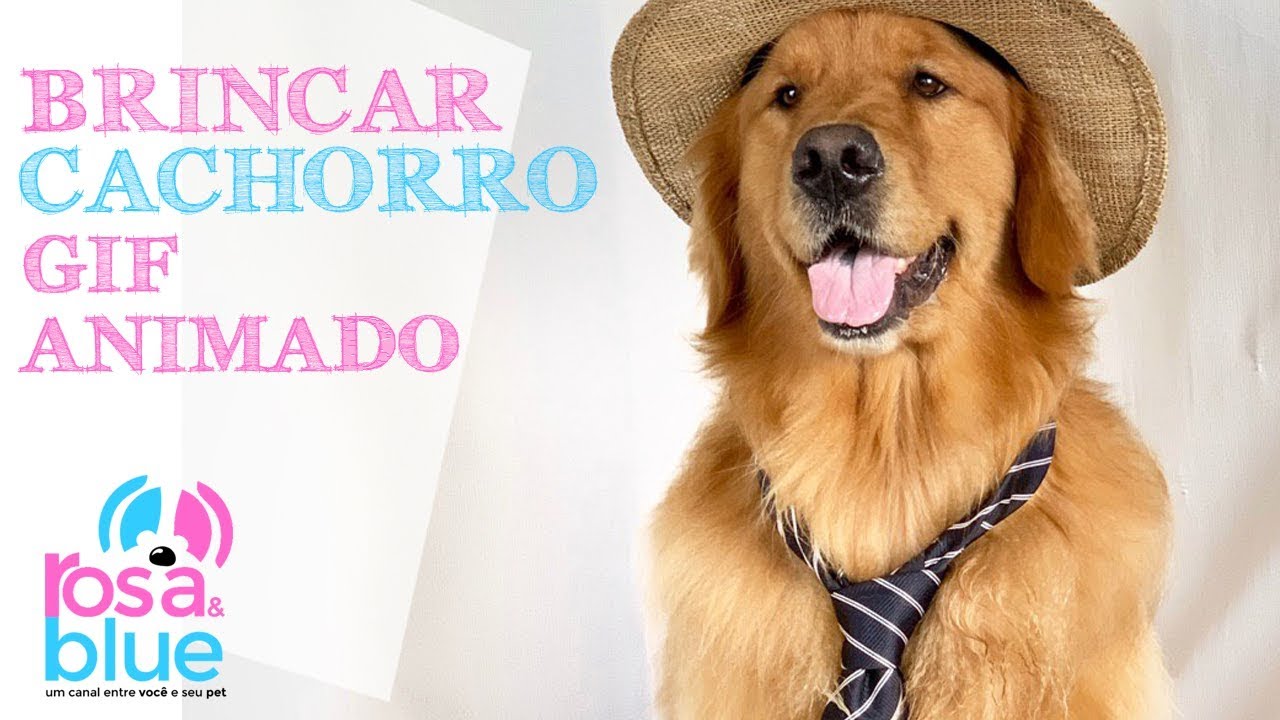 Cachorro Gif Animado