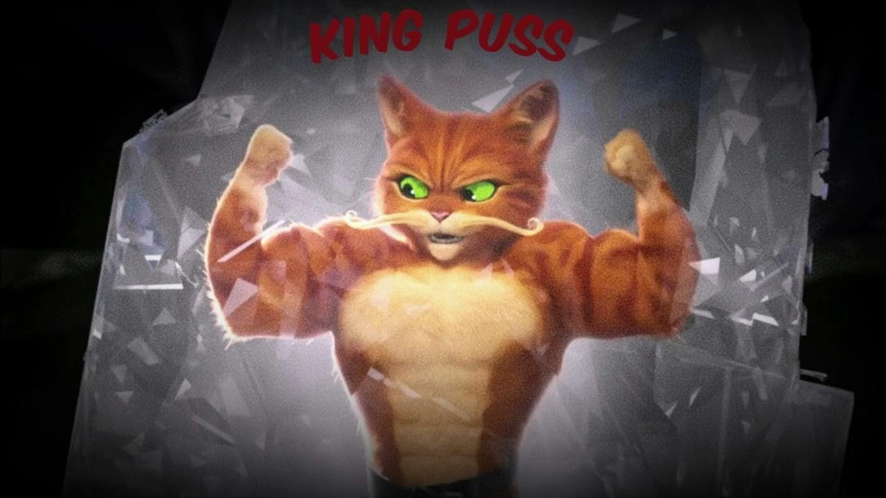 Puss In Boots Chad Phonk 1 Hour (Slowed + Reverb) - YouTube Music