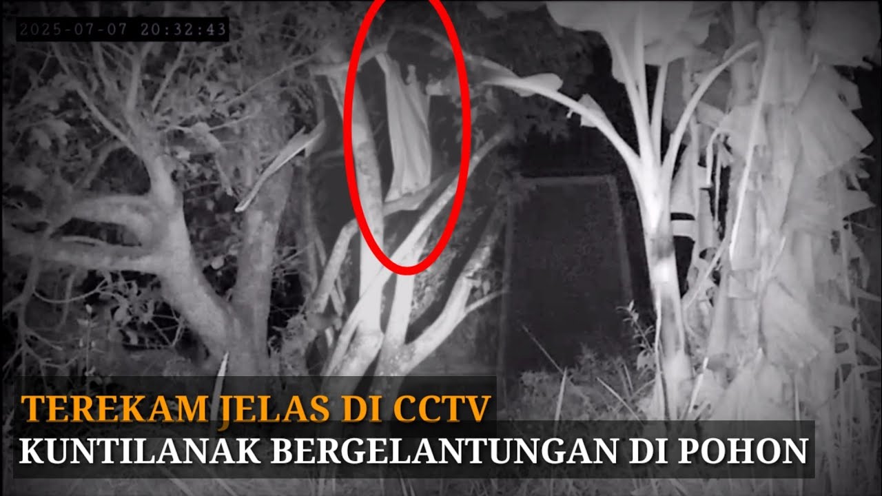 HOROR‼️NGERI HANTU POHON TEREKAM JELAS - YouTube