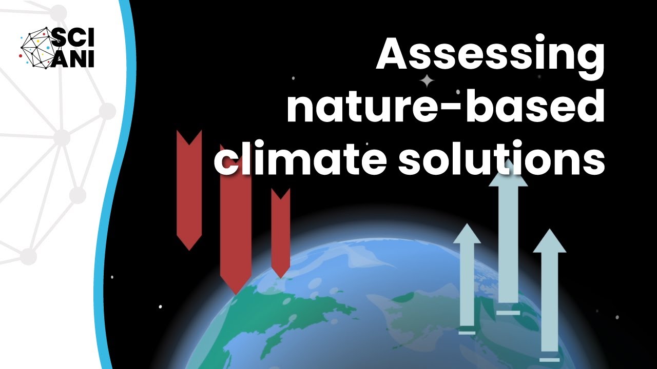 How effective are nature-based solutions at tackling climate change ...