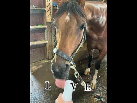 Perrrrfect - YouTube