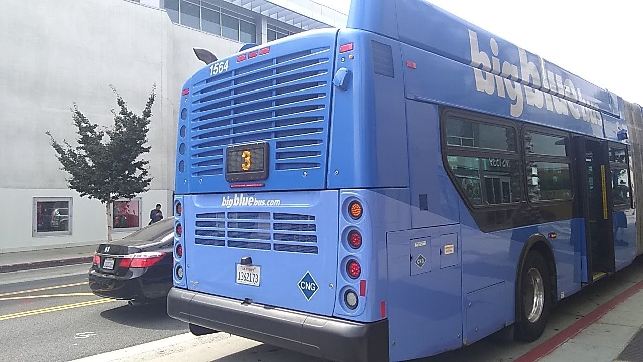 Bus 2015