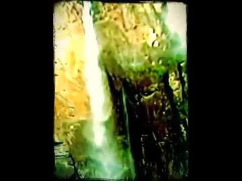 Last Virgin Jungle