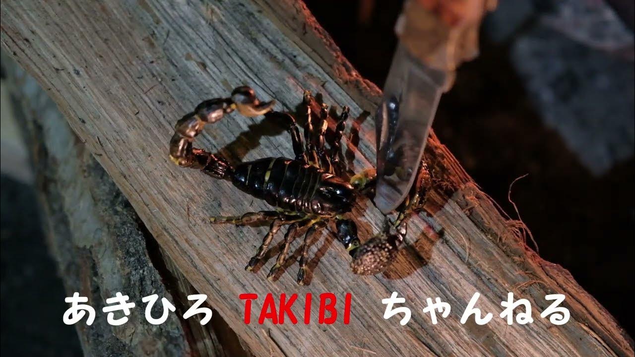 【あきひろTAKIBIちゃんねる紹介動画】 - YouTube