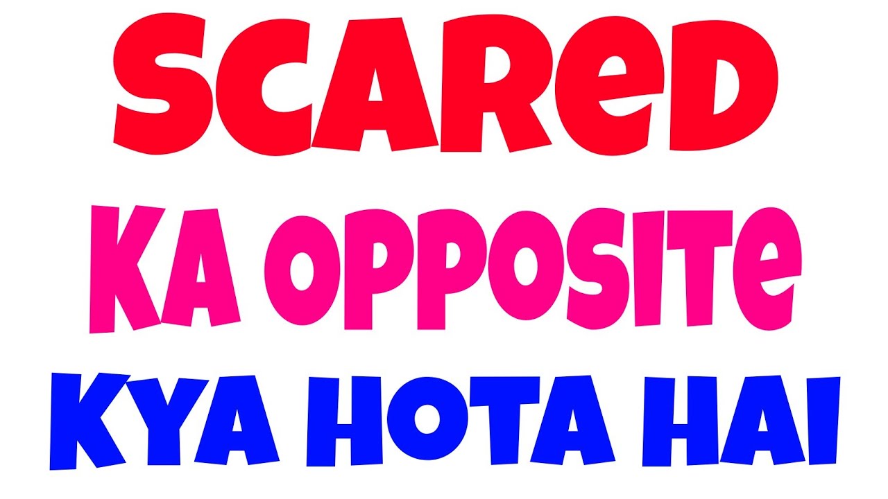 Scared ka opposite | opposite of Scared | antonyms of Scared | Scared ...