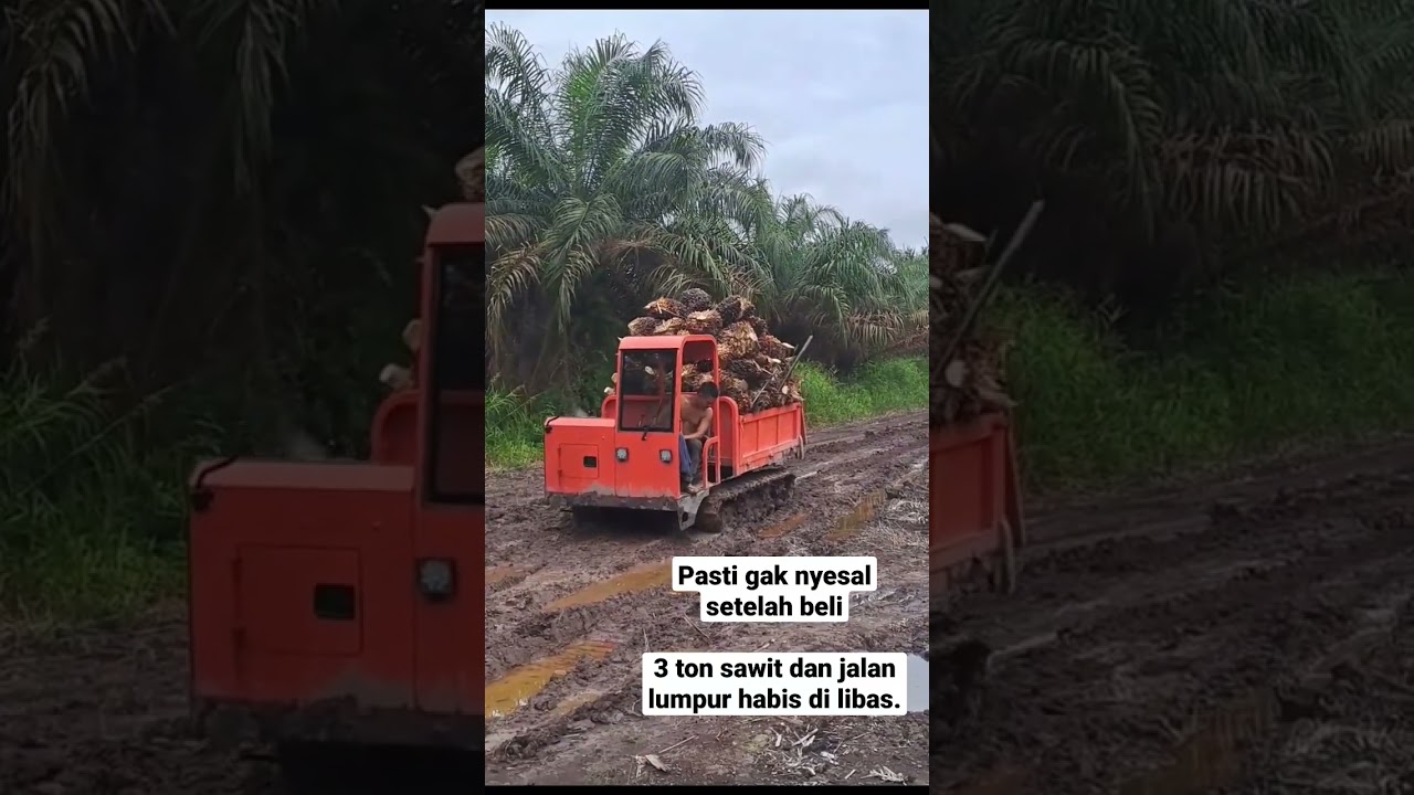 alat langsir sawit terbaik - YouTube