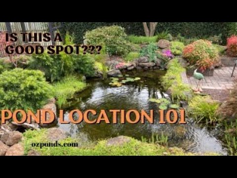 Selecting the right spot for a garden pond - YouTube