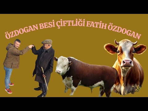 HUZURLU BİR BAYRAM GECİRMEK İSTEYENLERİN TEK ADRESİ ÖZDOGAN BESİ  ÇİFTLİĞİ FATİH ÖZDOGAN