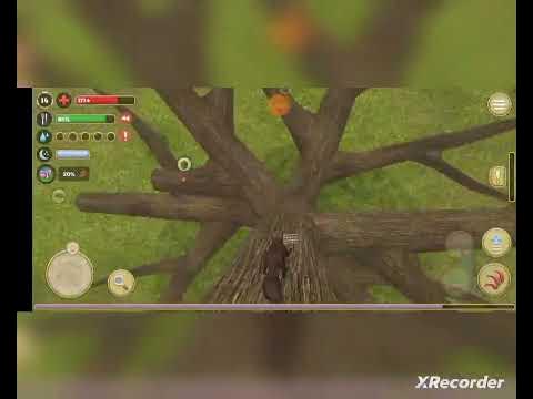 playing flying squirrel simulator - YouTube