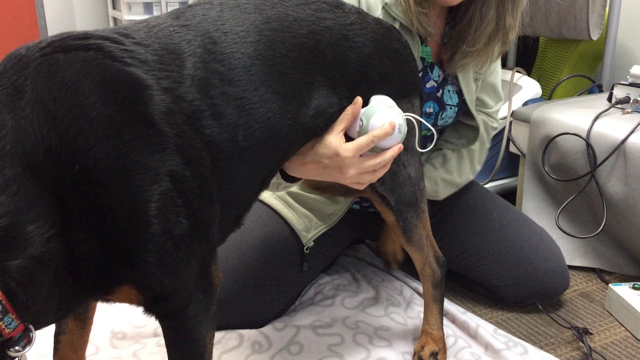 Localized Vibration for muscle facilitation - YouTube