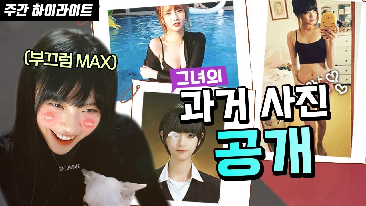 예상치 못한 리즈시절 사진 유출 그냥 전부 공개할게요 ㅣ주간 고말숙 트위치 하이라이트 Youtube