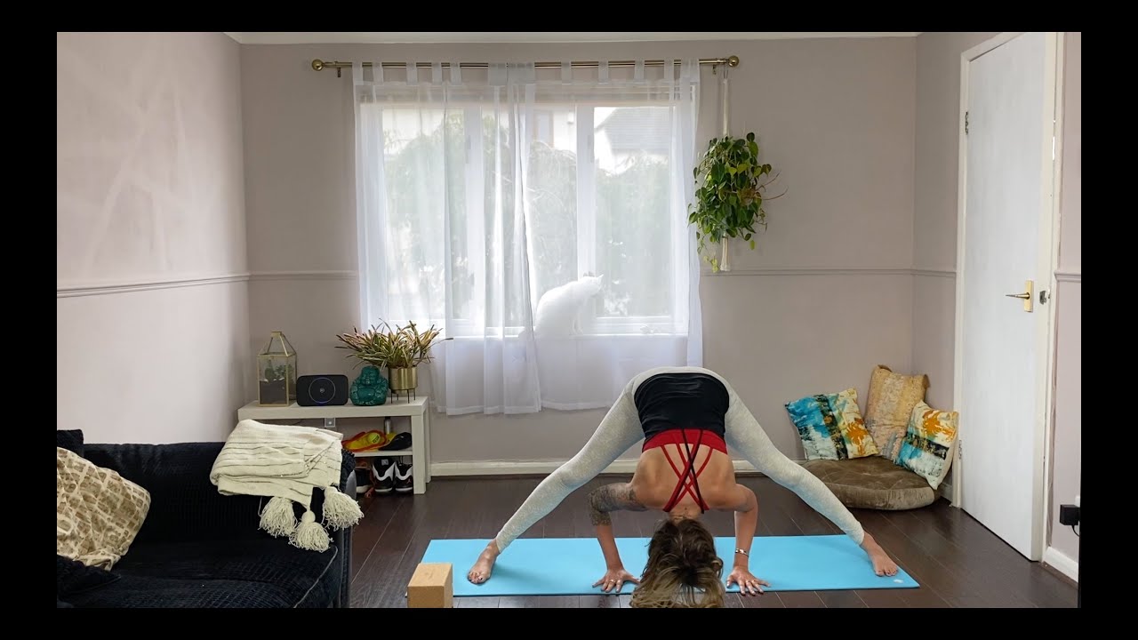 Stretchy Yoga Flow | Good Vibes All Levels Vinyasa Class | The Yoga ...