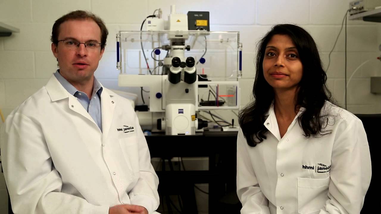 rAAV2-Retro: An Efficient Retrograde AAV Capsid - YouTube