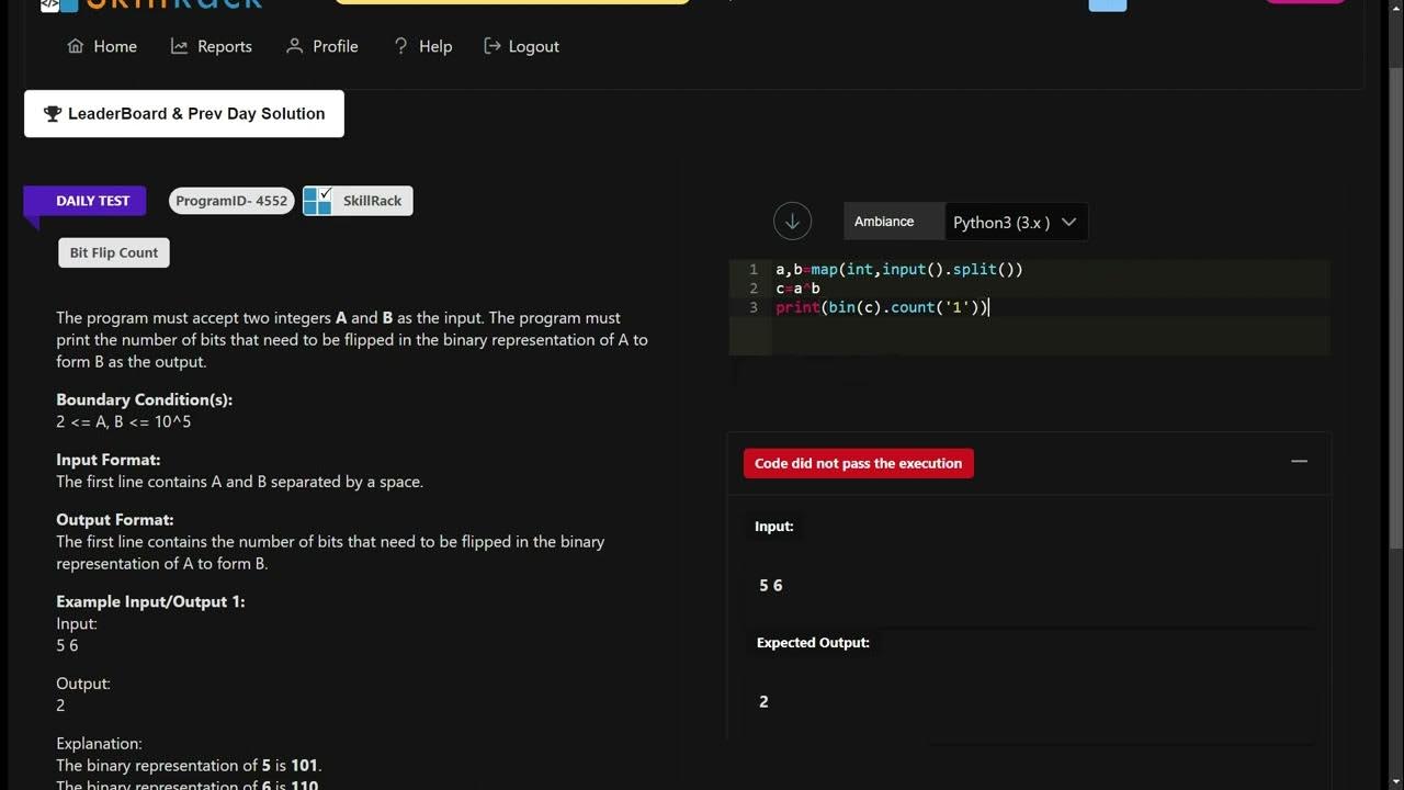 Skillrack Daily Test 27122023 Bit Flip Count Program Id 4552 Python Youtube
